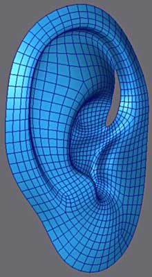 Modeling Joan of Arc - 02. Modeling of the Head - Ear